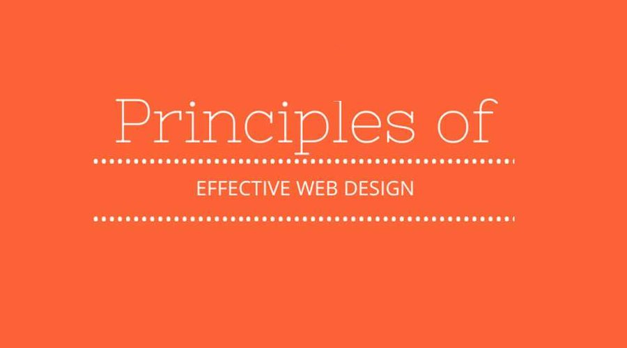 10 key Website Design Principles. - Hi Boox