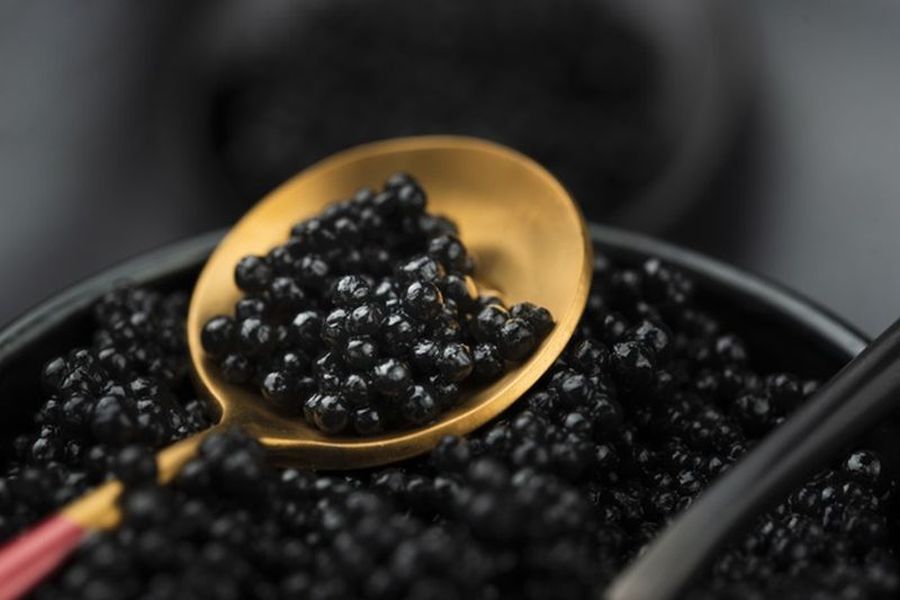How to Store Caviar Properly in 2024 - Hi Boox