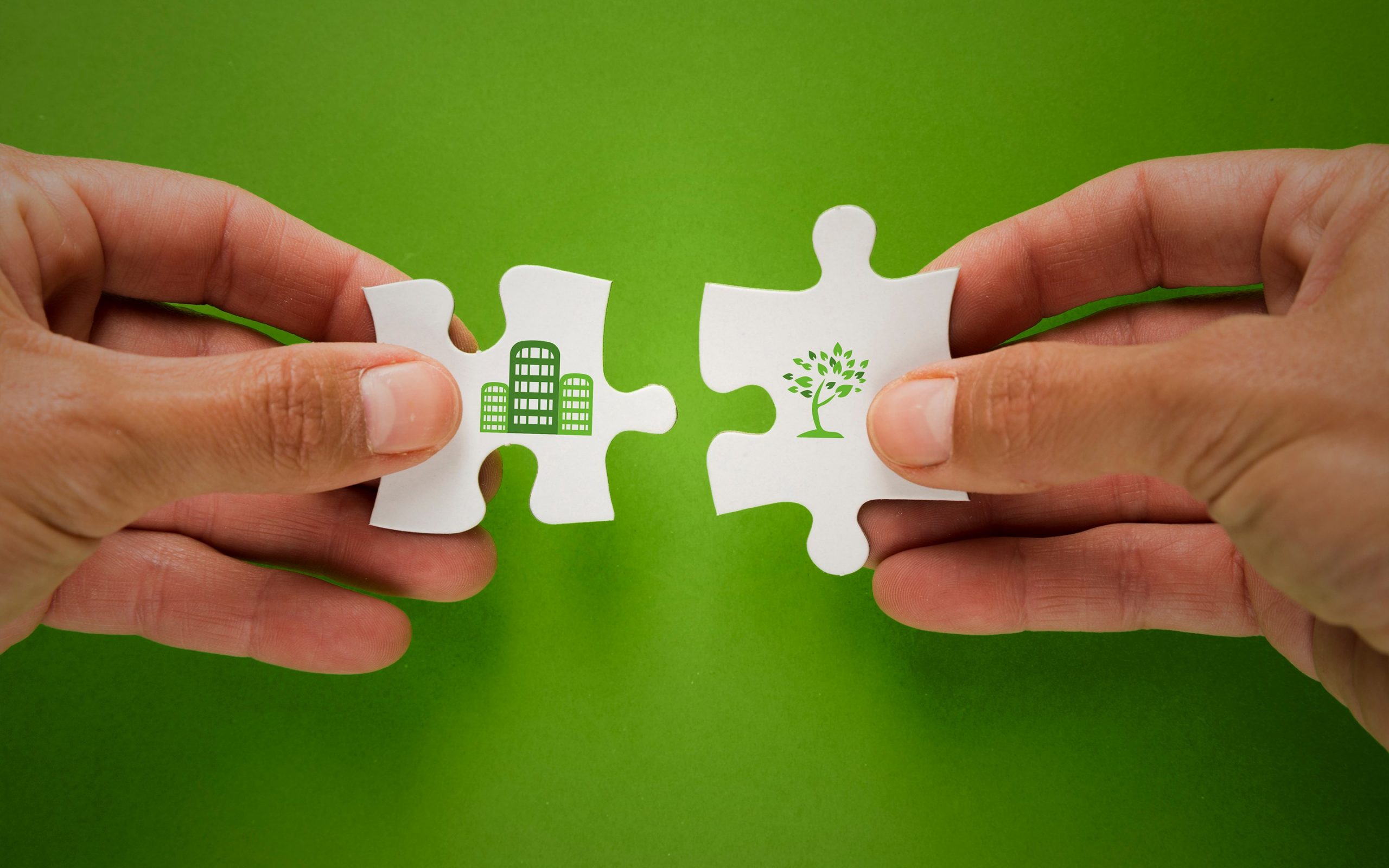 Reasons Your Small Business Needs To Start Thinking Green In 2025 - Hi Boox