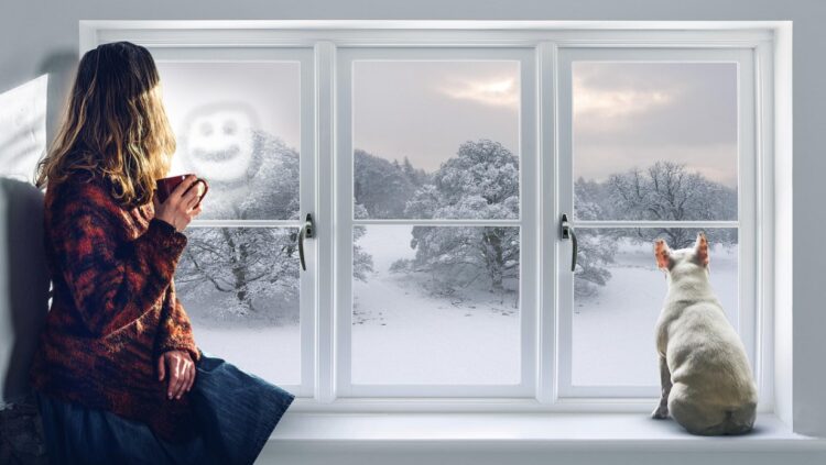Why Is Humidity So Low in Your House in Winter? - Hi Boox