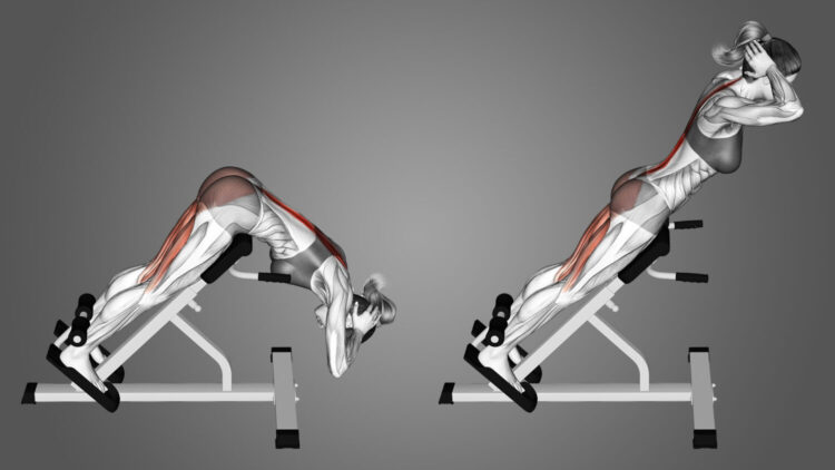 5 Best Exercises With a Back Extension Machine for Glutes - Hi Boox