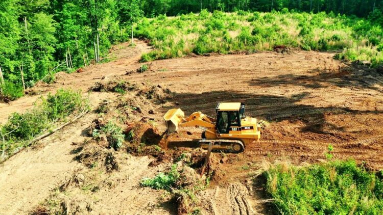 Land Clearing Cost Calculator ─ Estimating Your Project Expenses - Hi Boox