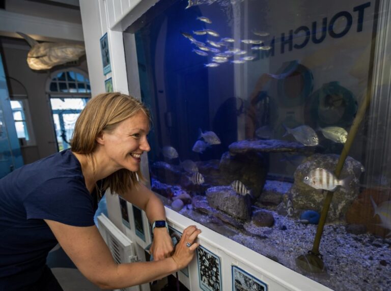 From Hobbyist to Professional ─ Tips for Landing Aquarist Jobs - Hi Boox