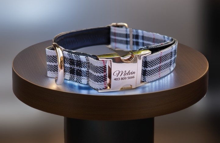 Exploring Designer Brands for Luxurious Dog Collars ─ Top Choices For ...